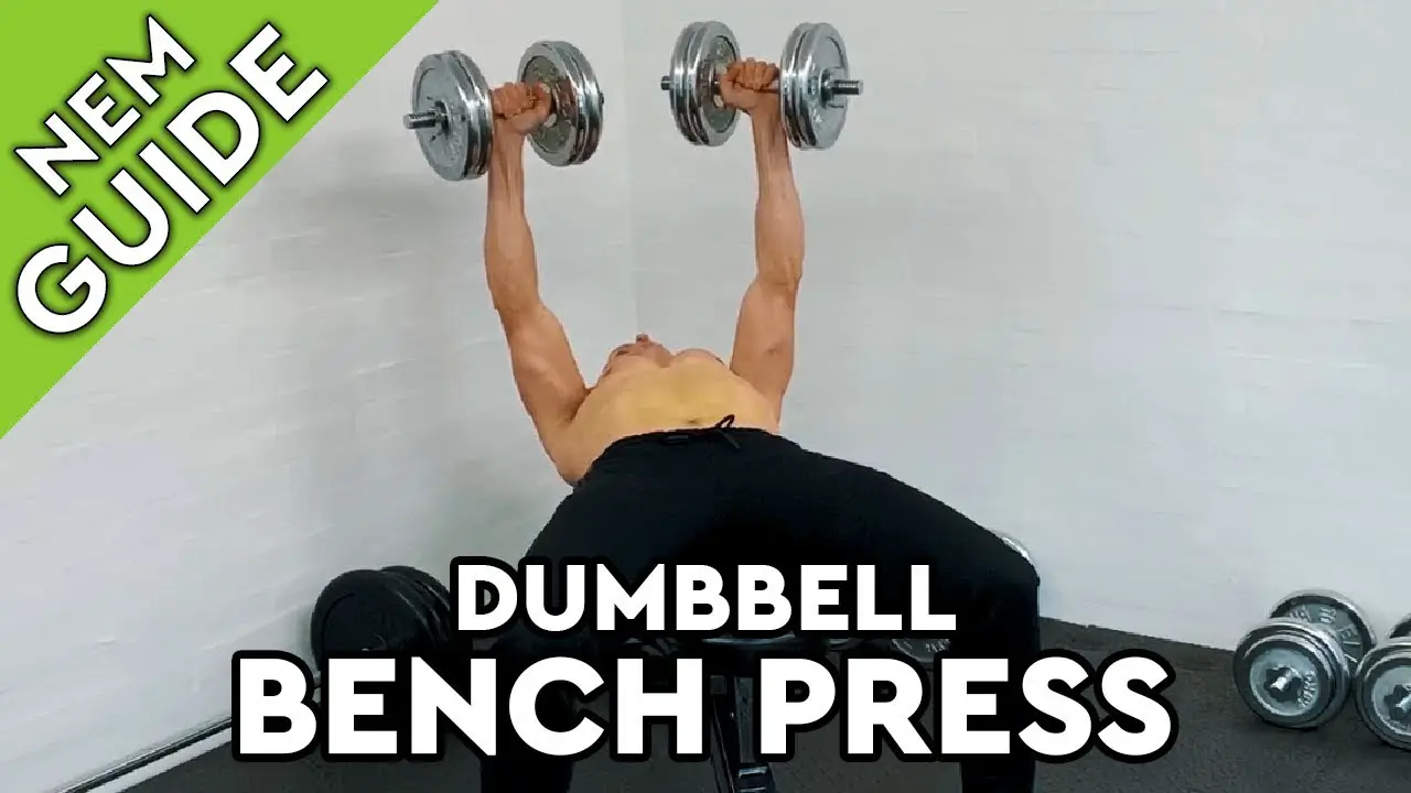 DUMBBELL BENCH PRESS » Sådan træner du øvelsen!